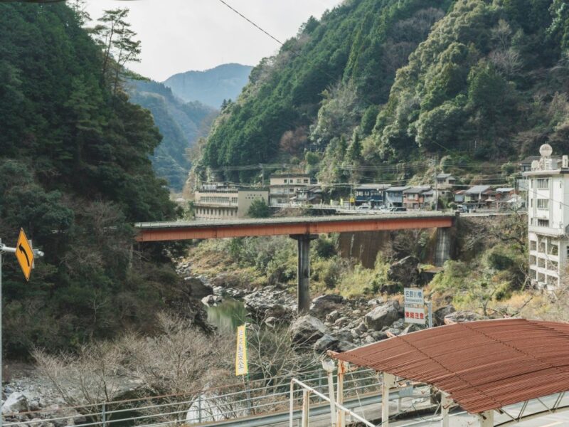 地域に眠る山野草を日常のお茶に。「tretre」が生み出した新しい摘み草のお茶文化 | Think LOCAL | 大丸・松坂屋