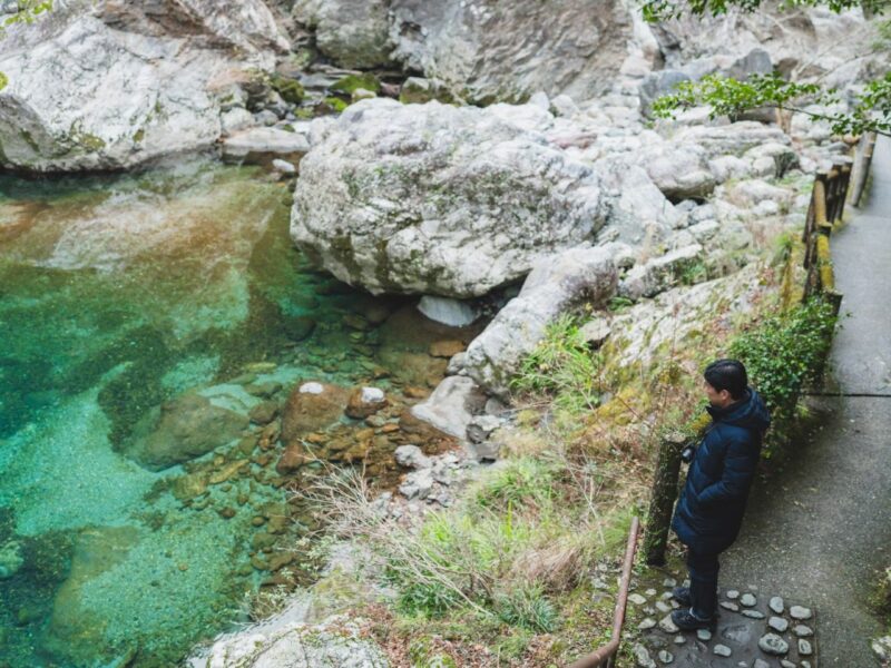 地域に眠る山野草を日常のお茶に。「tretre」が生み出した新しい摘み草のお茶文化 | Think LOCAL | 大丸・松坂屋